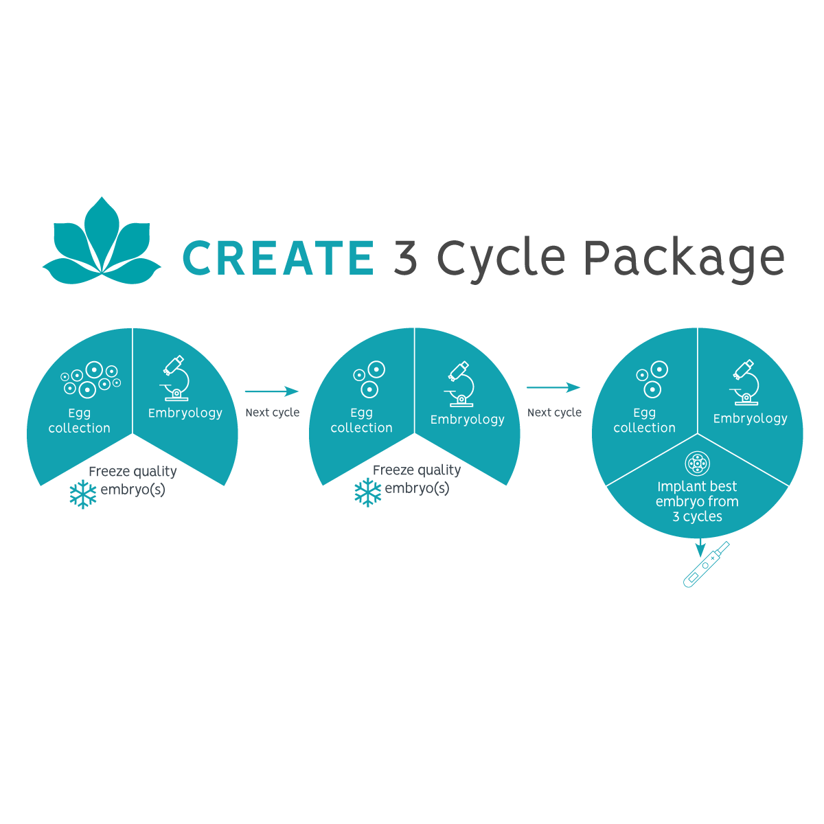 Natural IVF | IVF Treatments | CREATE Fertility